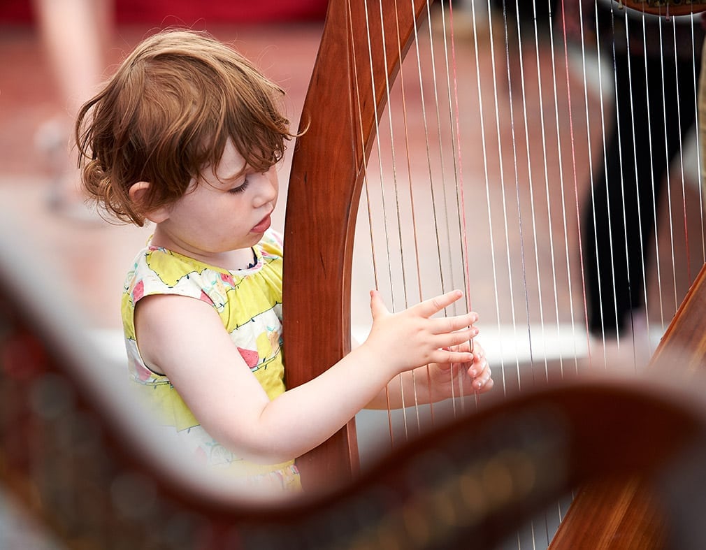Harp Ireland | National Resource Hub | Ireland's Emblem