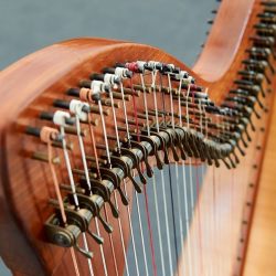 Harp Ireland | National Resource Hub | Ireland's Emblem