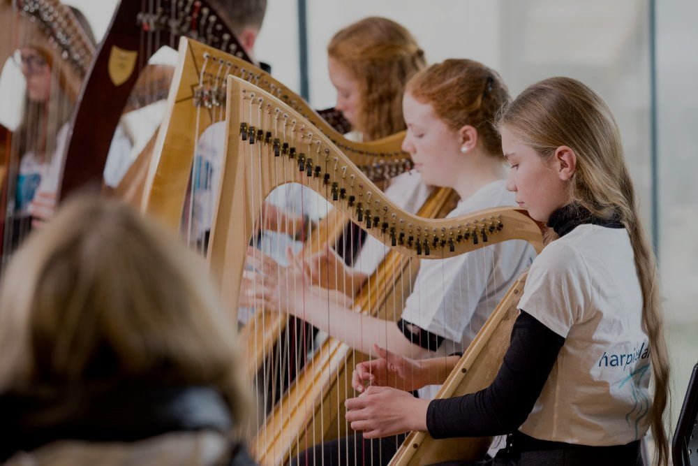 Harp Ireland | National Resource Hub | Ireland's Emblem