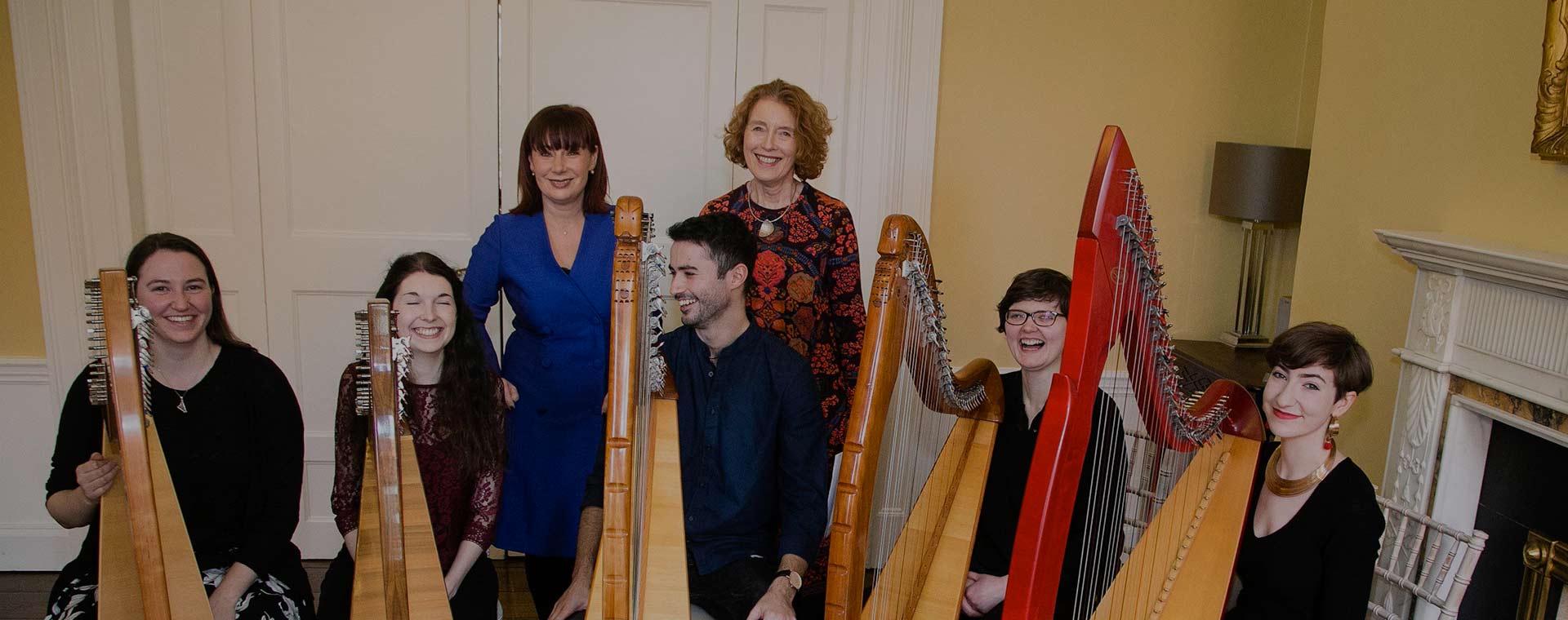 Harp Ireland | National Resource Hub | Ireland's Emblem