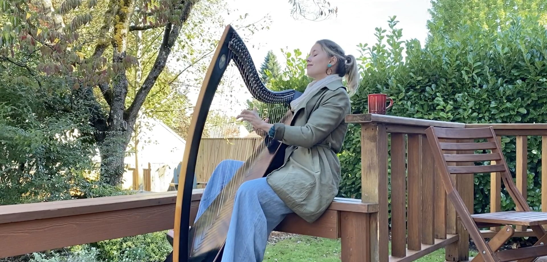 Harp Ireland | National Resource Hub | Ireland's Emblem