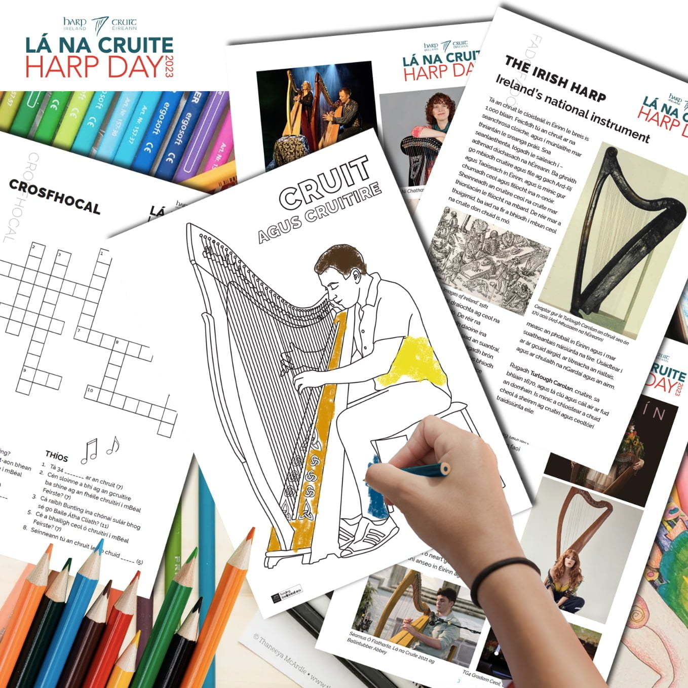 Harp Day Schools' Pack | Áis Scoile 2024 - Harp Ireland