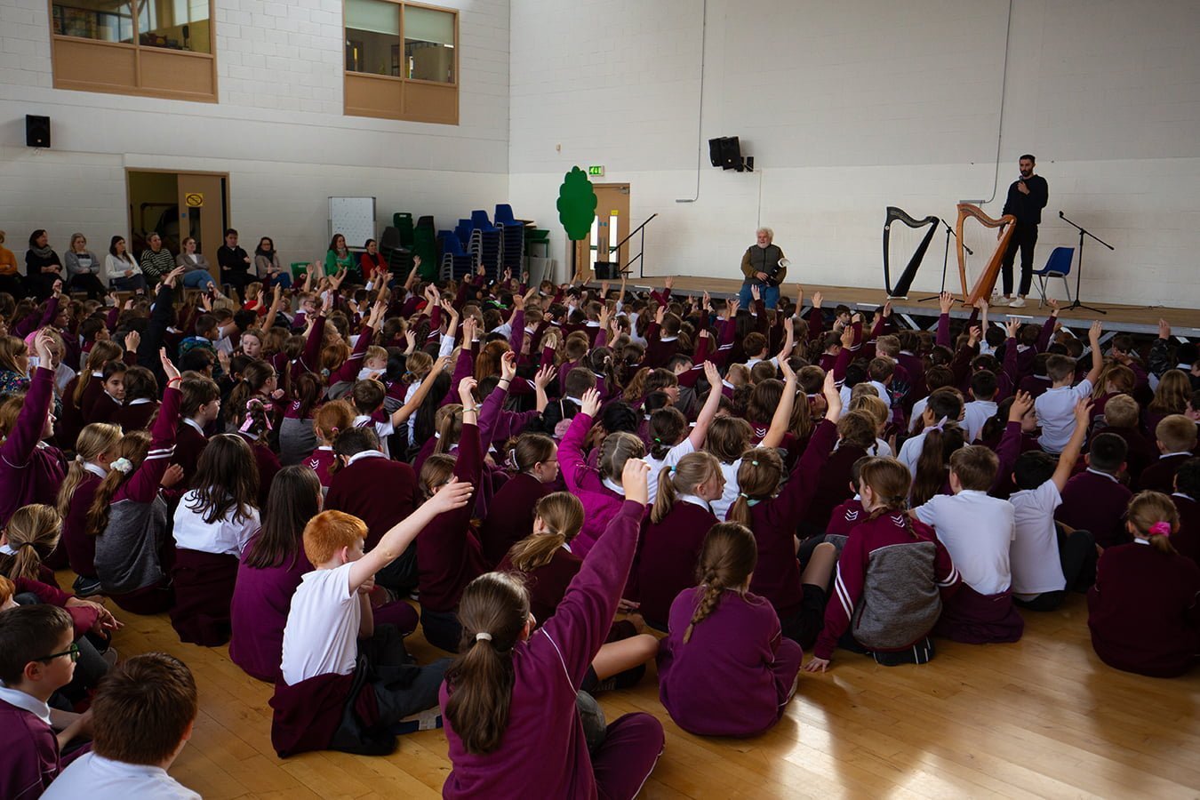 'Bring Your Harp to School' Day, Dublin and Wicklow - Harp Ireland