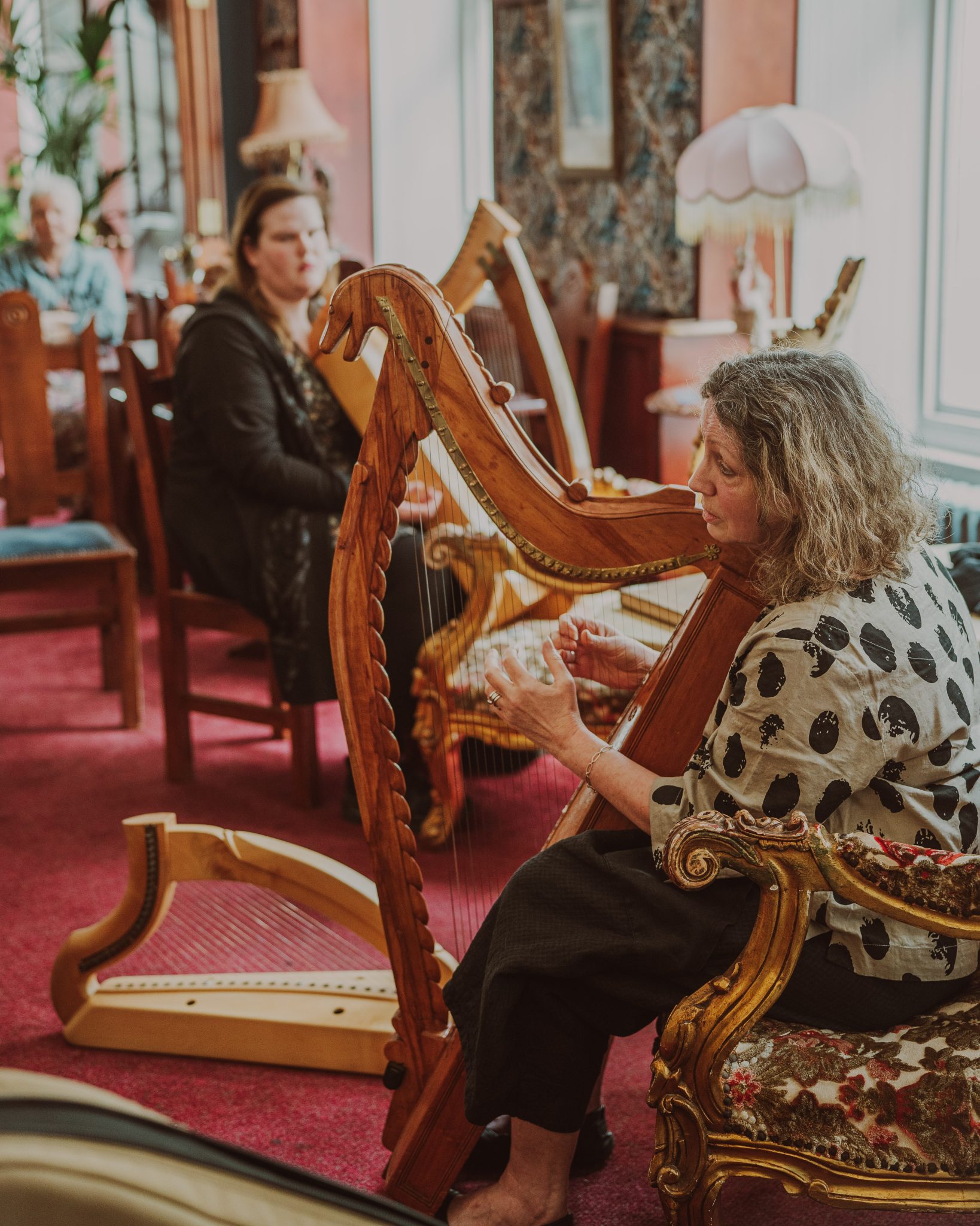 Harps Alive | An Chruit Bheo | Harps Leevin 2024 - Harp Ireland