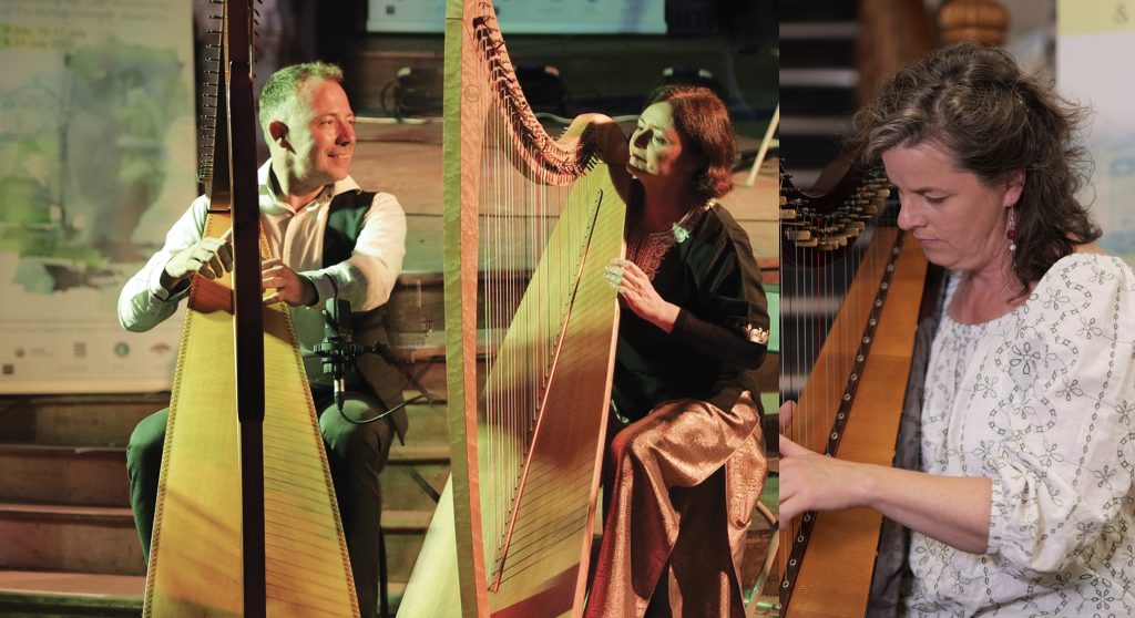 Harp Ireland | National Resource Hub | Ireland's Emblem