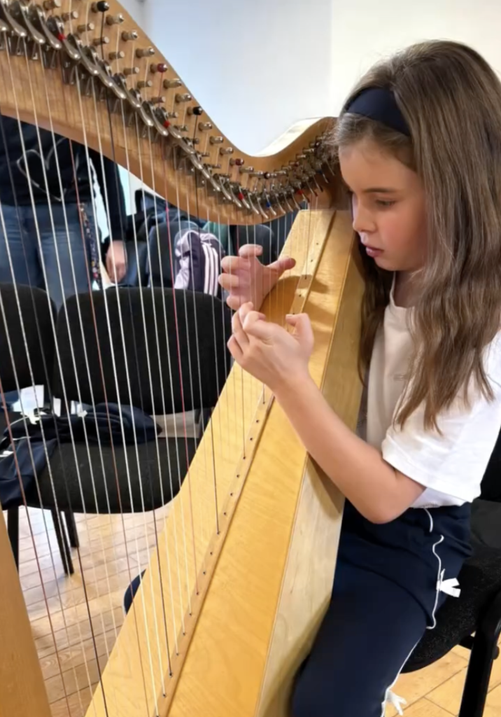 Harp Day 2025 Derry - Harp Ireland