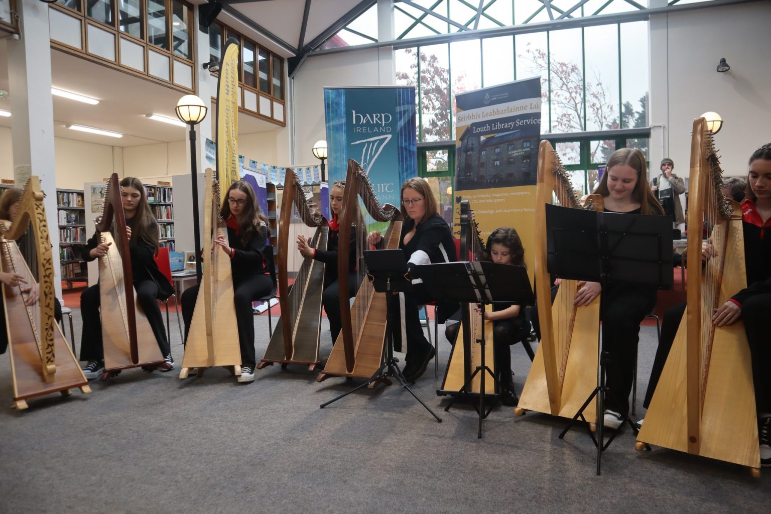 Harp Day 2025 Louth - Harp Ireland